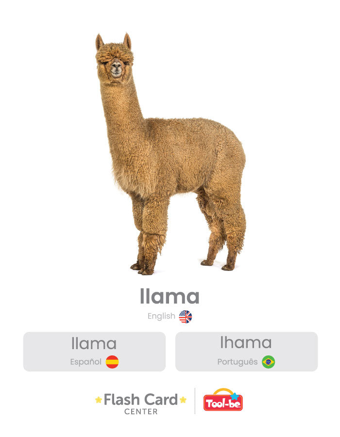 Llama – Tool-be